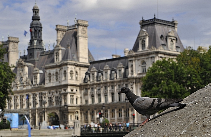 Lowlight - Fotoreportaj > Franta > 3 zile